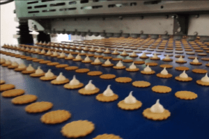 Capper sandwiching machine – Procys