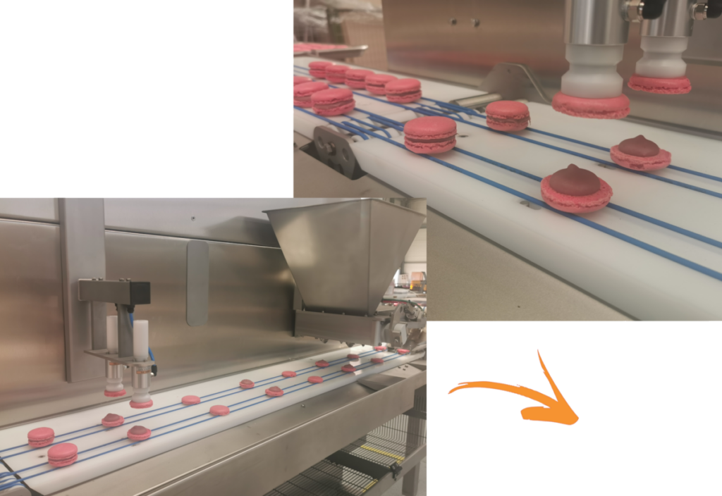 Capper Small – Procys